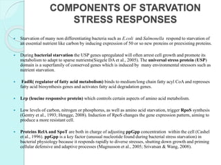 Starvation Stress Response (Bacterial) | PPTX
