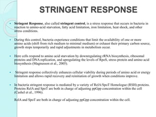 Starvation Stress Response (Bacterial) | PPTX
