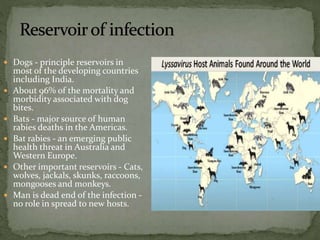 Rabies: a fatal zoonotic threat | PPTX