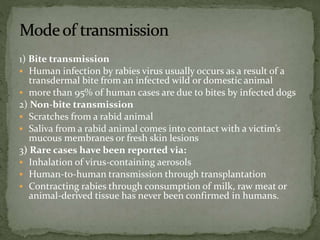 Rabies: a fatal zoonotic threat | PPTX