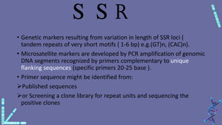 SSR and ISSR.pdf