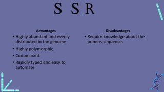 SSR and ISSR.pdf