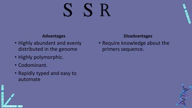 SSR and ISSR.pdf