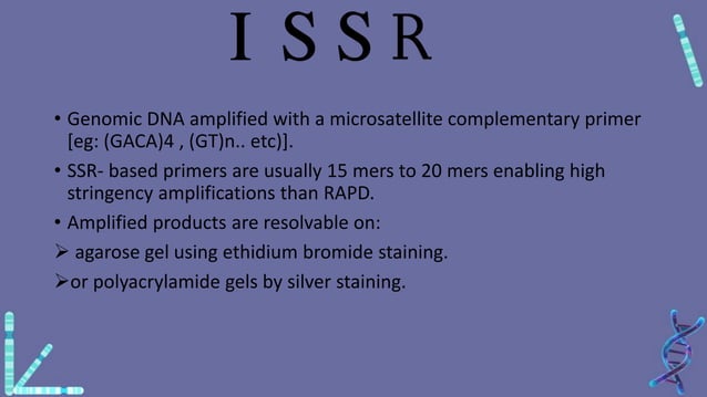 SSR and ISSR.pdf