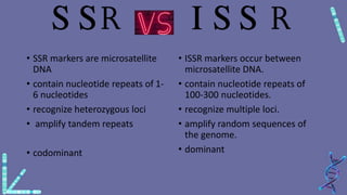 SSR and ISSR.pdf