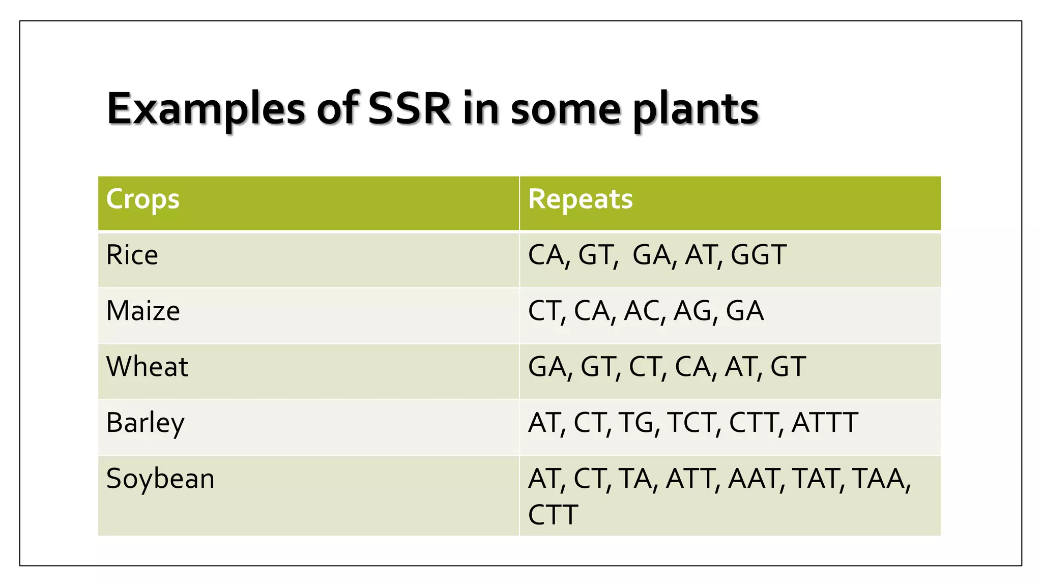 Ssr assignment | PPTX