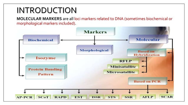 Ssr assignment | PPTX | Genetics | Science