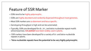 Ssr assignment | PPTX