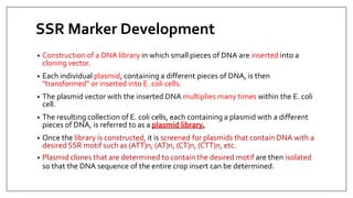 ssrassignment-180211113637 (1).pptx
