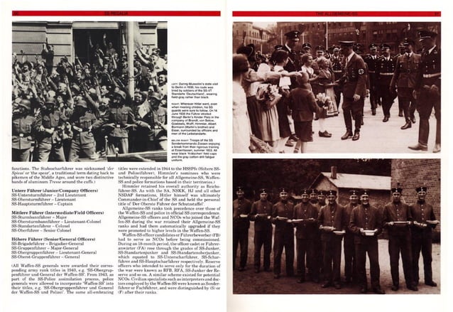 SS regalia | PDF | Video Game Genres | Video Gaming