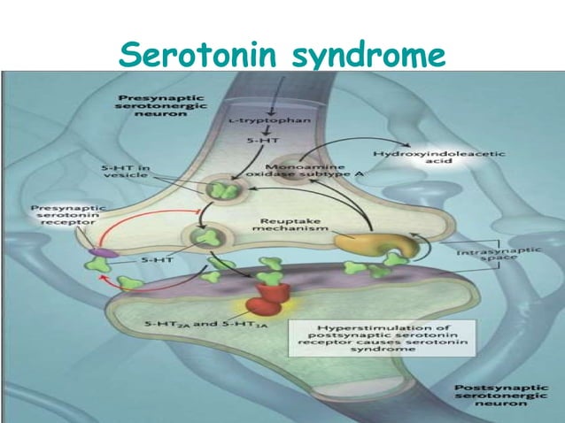 Ssri n snri | PPT