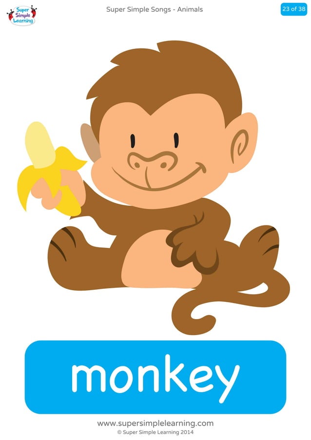 sss-animals-complete-flashcards.pdf