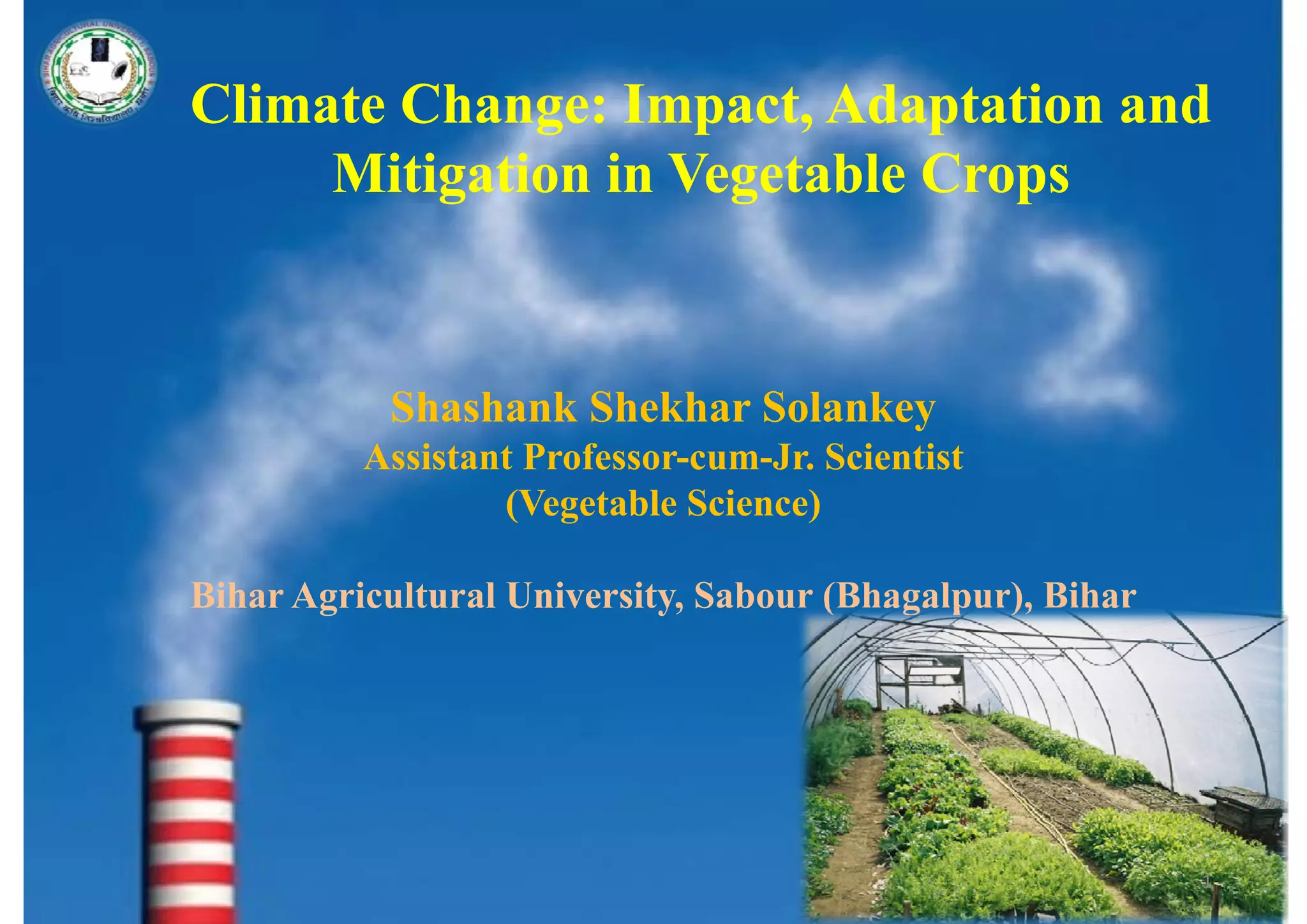 Sss climate change impact, mitigation and adaptation in vegetable crops ...