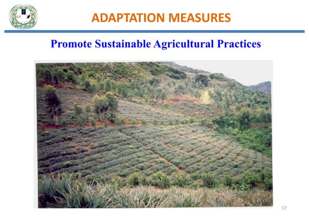Sss climate change impact, mitigation and adaptation in vegetable crops ...