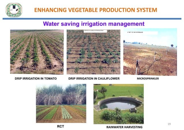 Sss climate change impact, mitigation and adaptation in vegetable crops ...