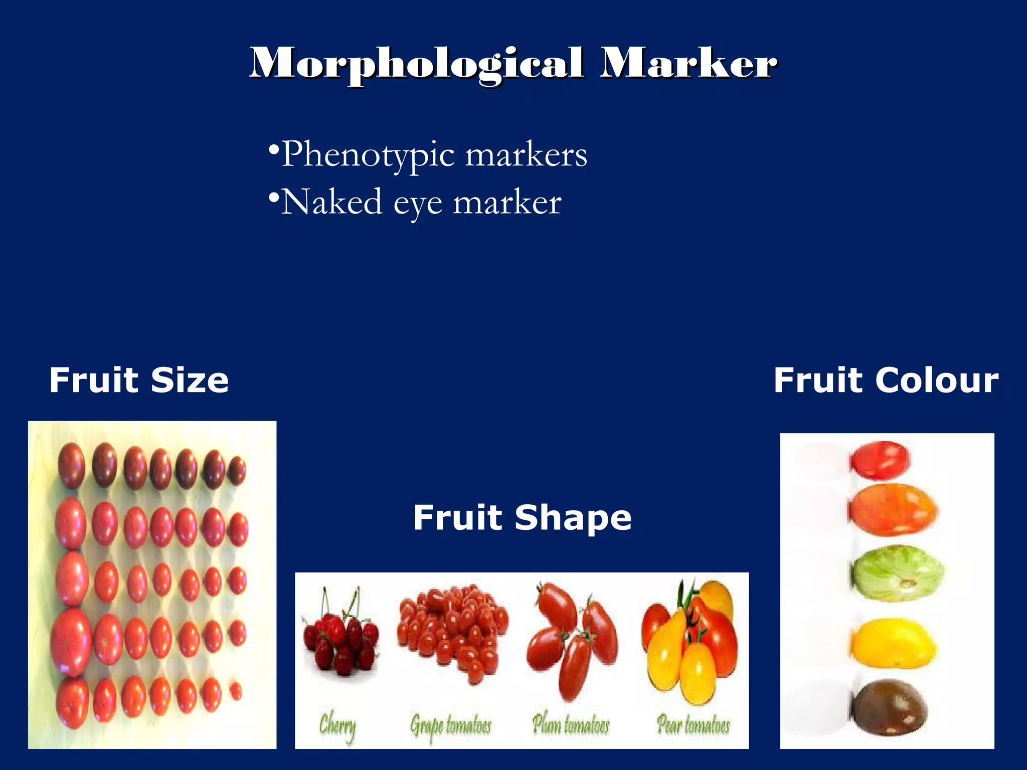 Genetic markers-SSS | PPT
