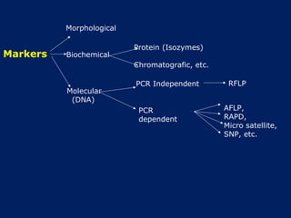 Genetic markers-SSS | PPT