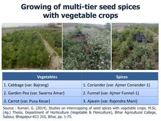 Multitier cropping system for profitability and scalability in ...