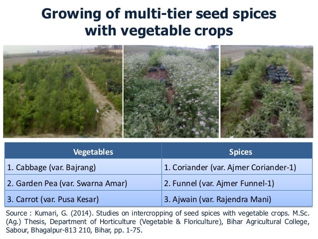 Multitier cropping system for profitability and scalability in vegeta…