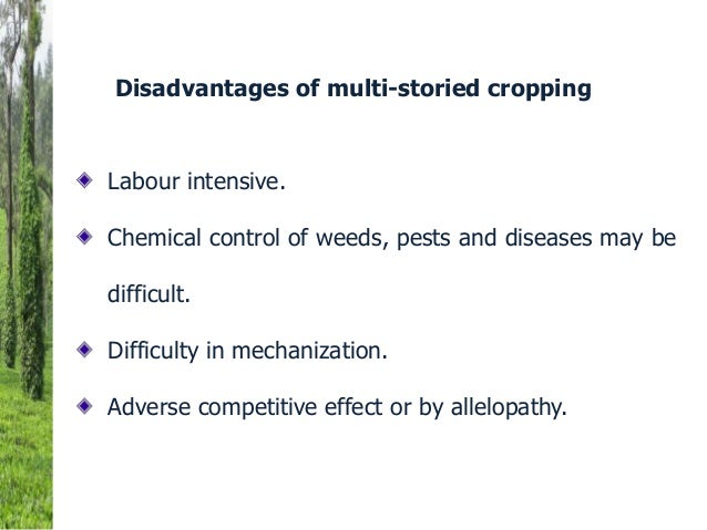 Multitier cropping system for profitability and scalability in vegeta…