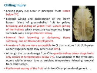 Abiotic Stress Management in Pineapple | PPTX