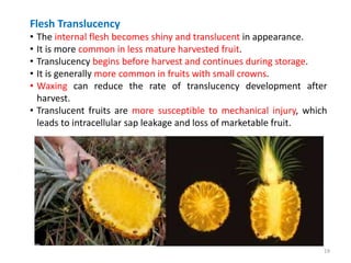 Abiotic Stress Management in Pineapple | PPTX