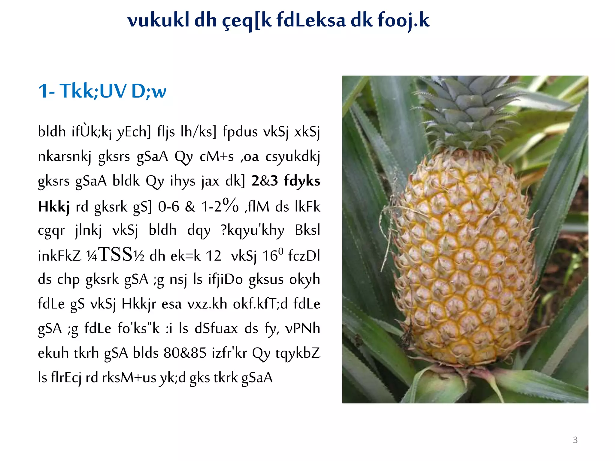 Pineapple varieties, propagation and plantation | PPTX