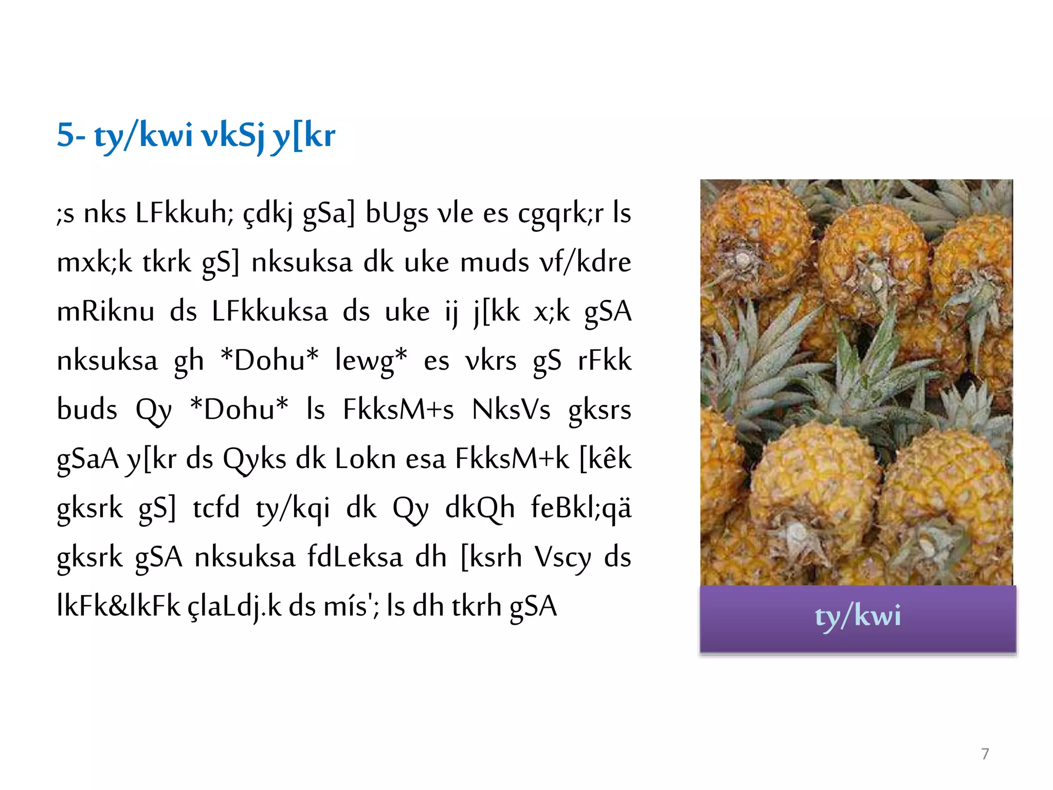 Pineapple varieties, propagation and plantation | PPTX