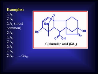 Plant growth regulators | PPT