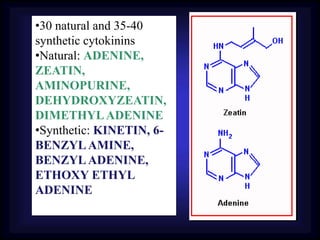 Plant growth regulators | PPT