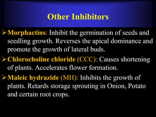 Plant growth regulators | PPT