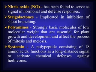 Plant growth regulators | PPT