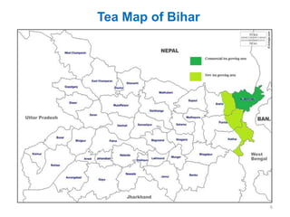 Tea abiotic stresses | PPT
