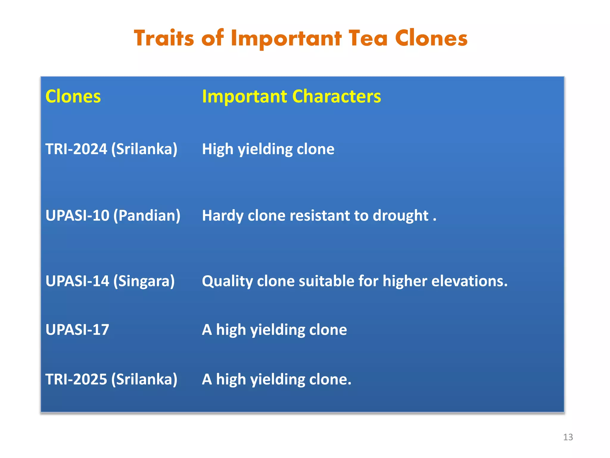Tea Varieties, Propagation and Planting | PPTX
