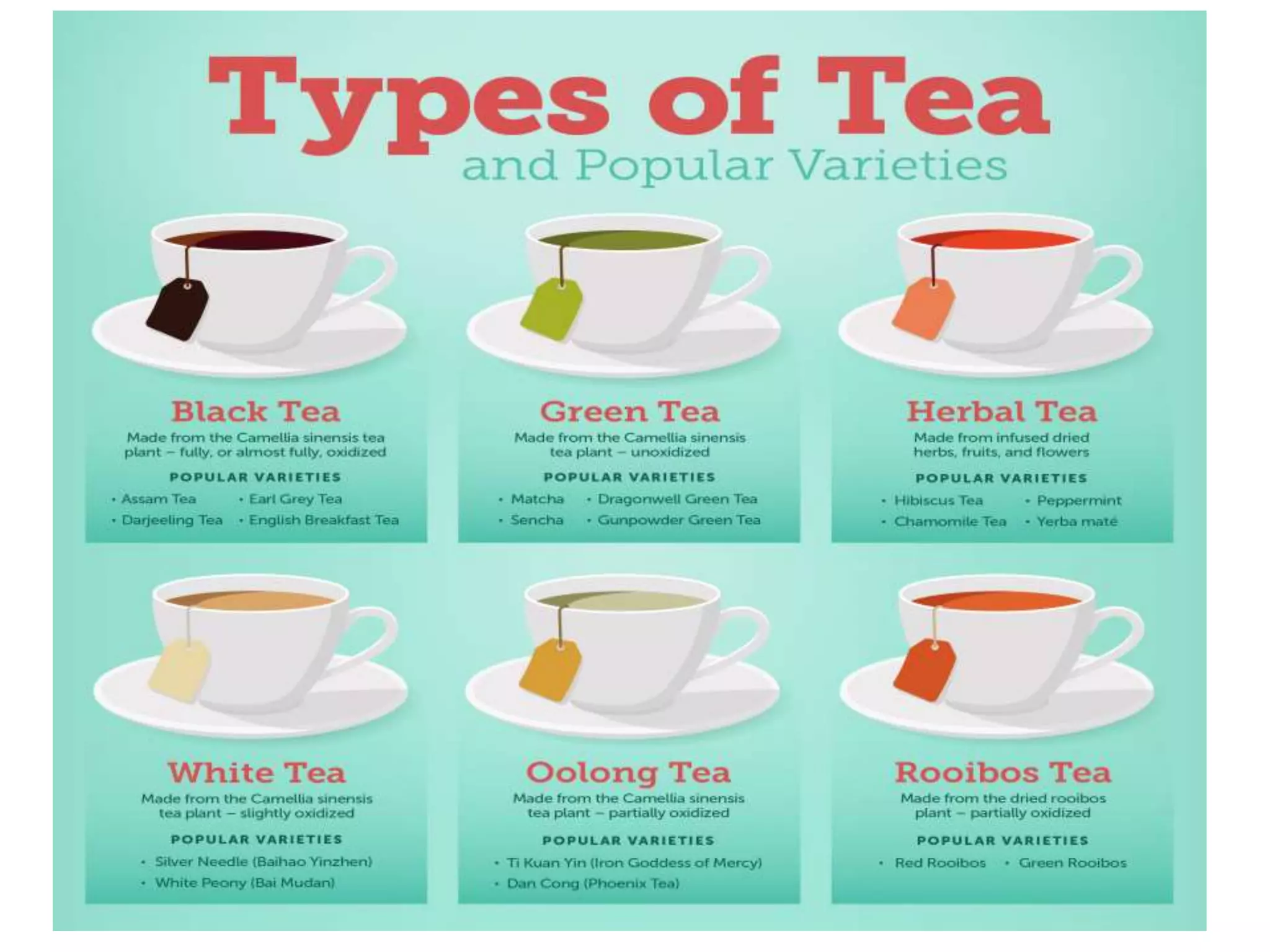 Tea Varieties, Propagation and Planting | PPTX