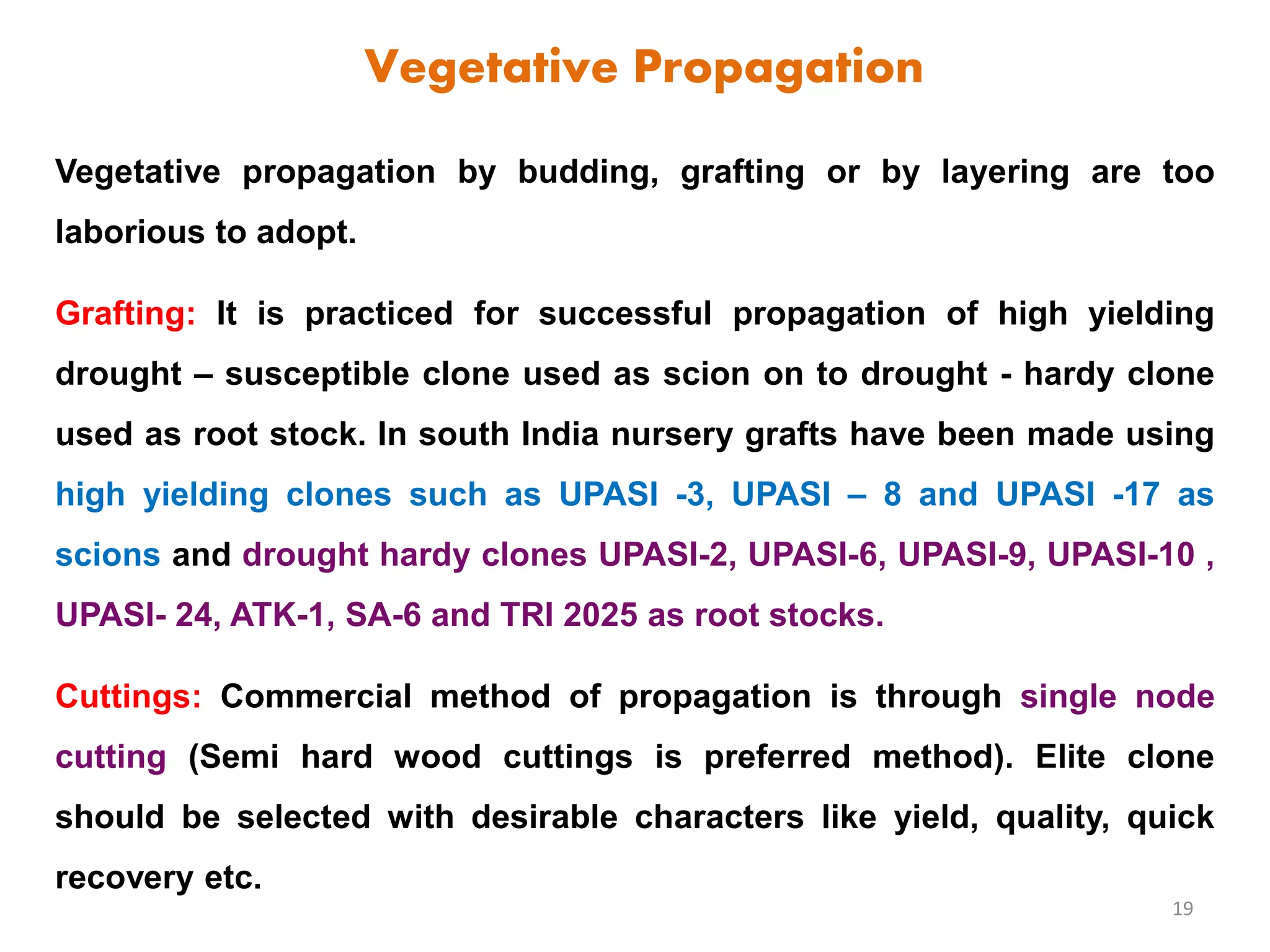 Tea Varieties, Propagation and Planting | PPTX