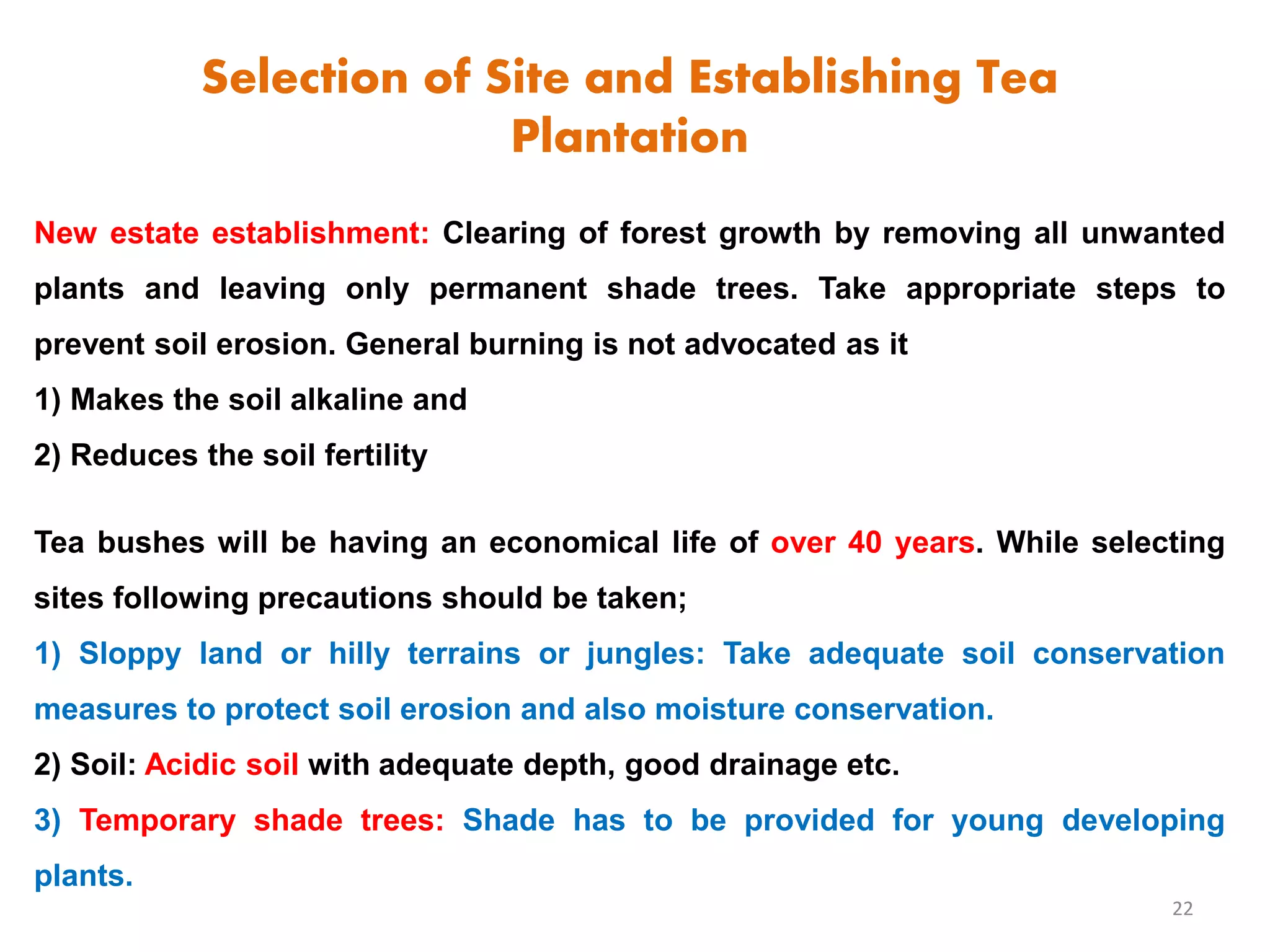 Tea Varieties, Propagation and Planting | PPTX
