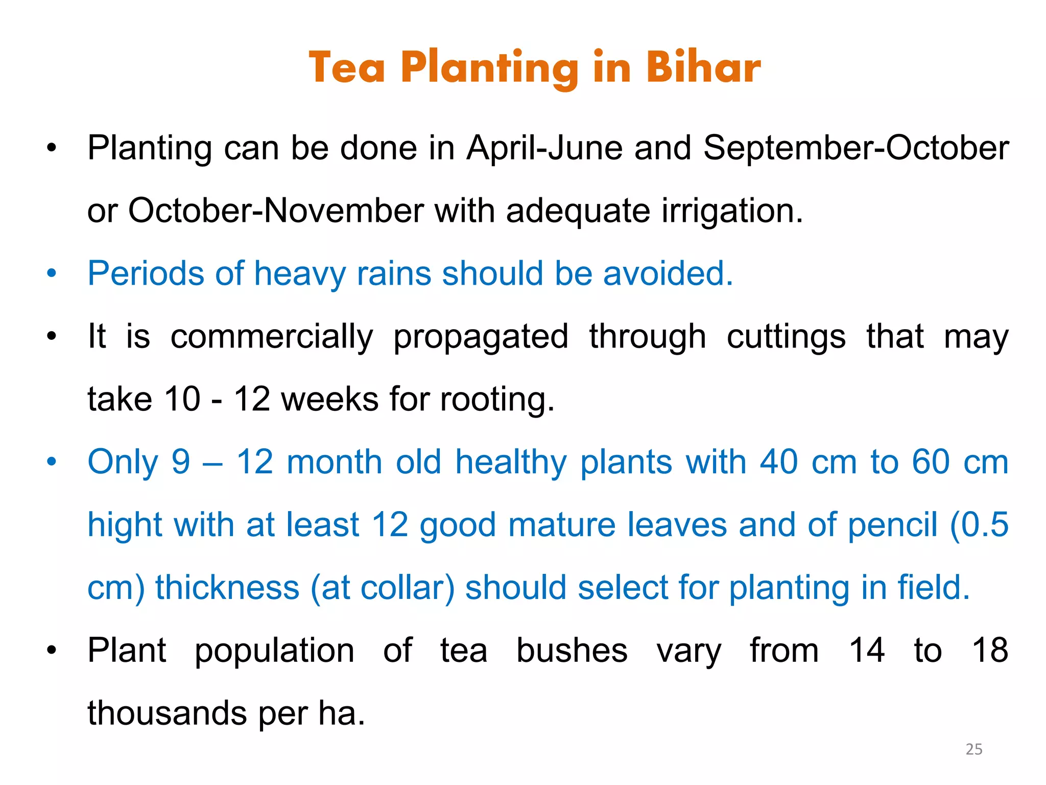Tea Varieties, Propagation and Planting | PPTX