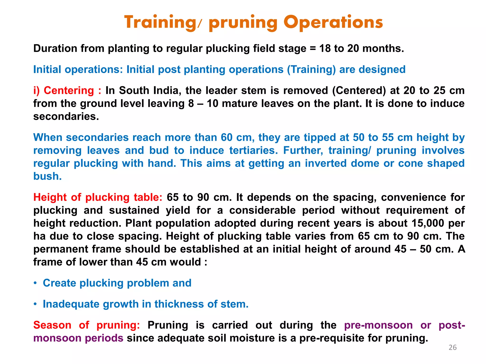 Tea Varieties, Propagation and Planting | PPTX
