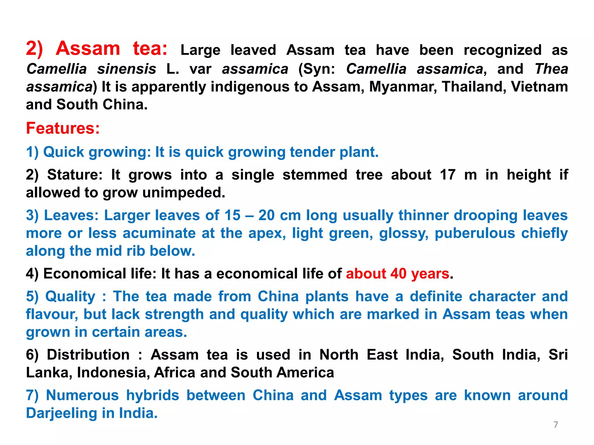 Tea Varieties, Propagation and Planting | PPTX