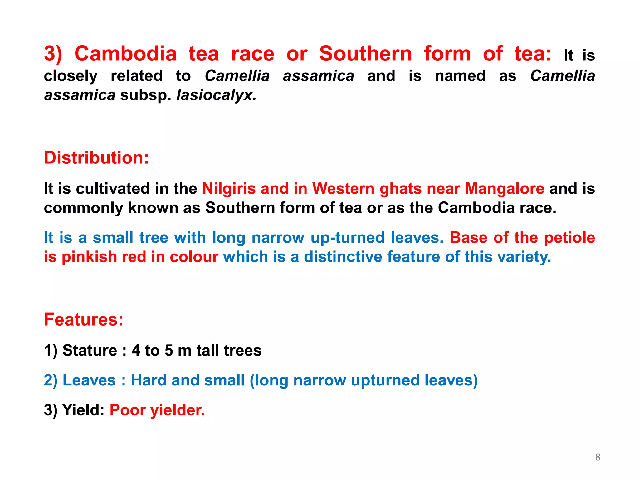 Tea Varieties, Propagation and Planting | PPTX