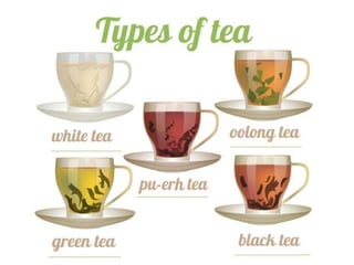 Tea Varieties, Propagation and Planting | PPTX