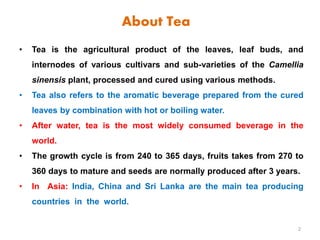 Tea Varieties, Propagation and Planting | PPTX
