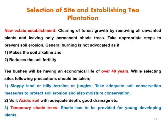 Tea Varieties, Propagation and Planting | PPTX