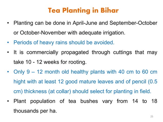 Tea Varieties, Propagation and Planting | PPTX