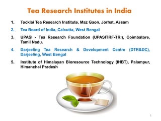 Tea Varieties, Propagation and Planting | PPTX