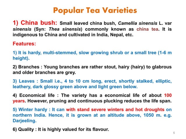 Tea Varieties, Propagation and Planting | PPTX