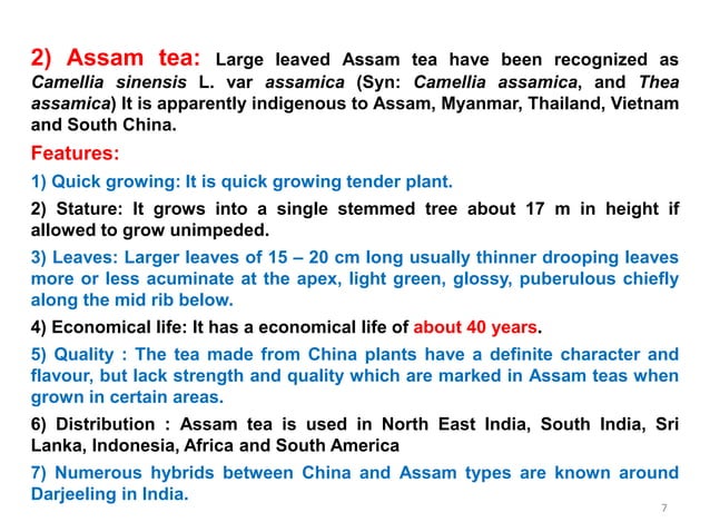 Tea Varieties, Propagation and Planting | PPTX