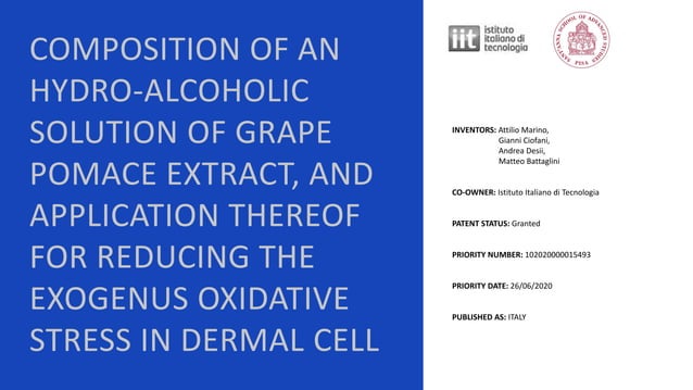 COMPOSITION OF AN HYDRO-ALCOHOLIC SOLUTION OF GRAPE POMACE EXTRACT, AND ...