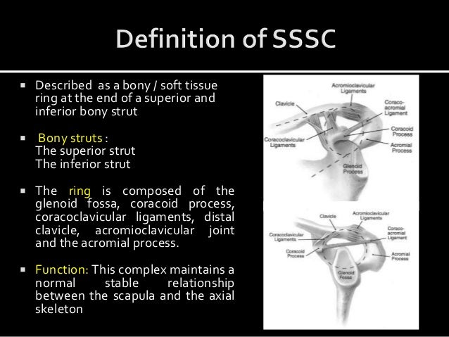 Superior Shoulder Suspensory Complex Injuries Sssc